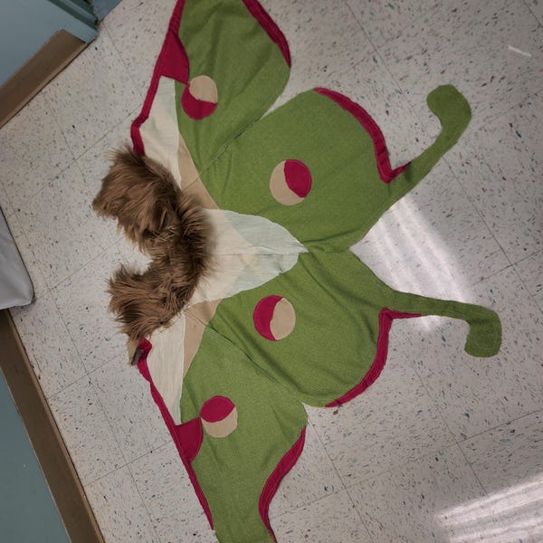 Moth Cape Sewing Pattern - Etsy