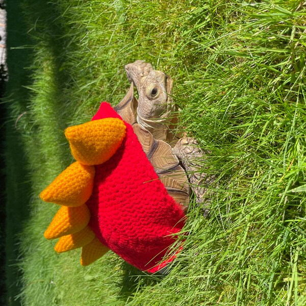 Tortoise Sweater Baby-sombrero. Sombrero Hat for Tortoise, Turtle ...