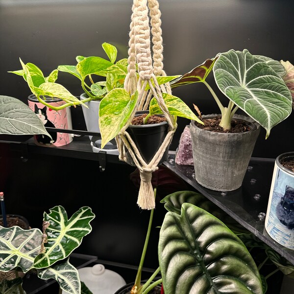 Boho Farmhouse Macrame Mug Rug, Coffee Cup Coaster, Autumn Boho Home ...