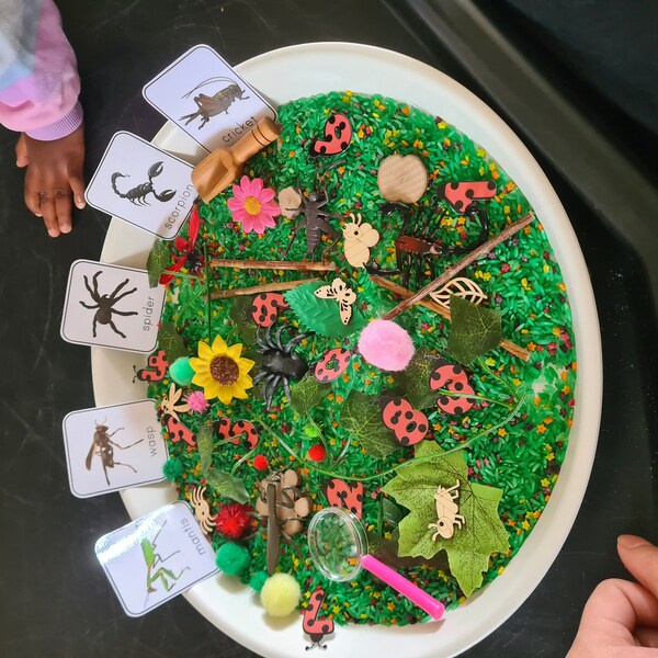 Sensory Play Pack - Bugs Sensory Play - Sensory Rice - Sensory Activity ...