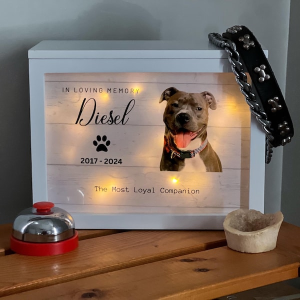 Pet Memorial Shadowbox, Large Shadowbox Display, Dog Memorial , Cat ...