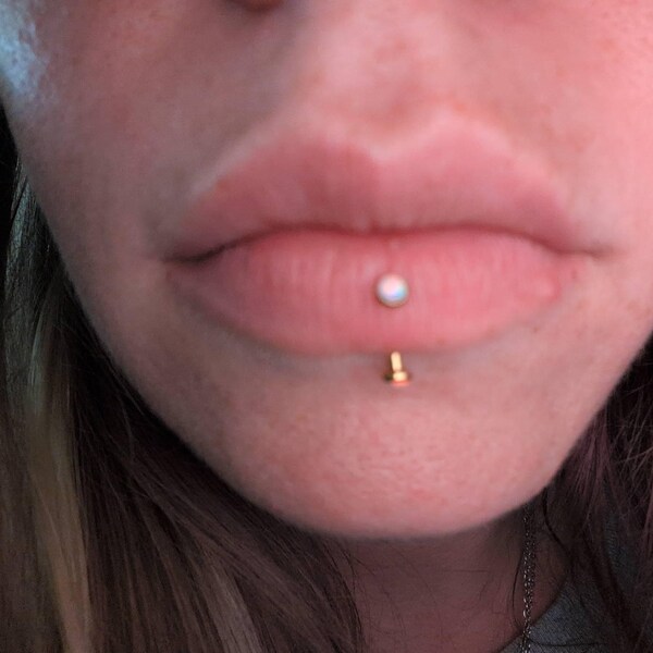 16G Horseshoe Septum Ring /nose Ring Piercing Jewelry/ Earrings /lip ...