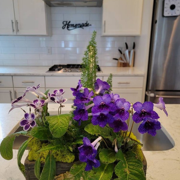 Farmhouse Decor, Handmade Wooden Homemade Sign, Wall Decor, Kitchen ...