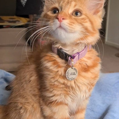 20 Mm Mini Double Side Engraved Pet Tag ID Name Flower Wreath Floral ...