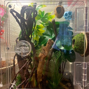 3D Printed Magnetic Corner Honeycomb Jumping Spider Hide - Etsy