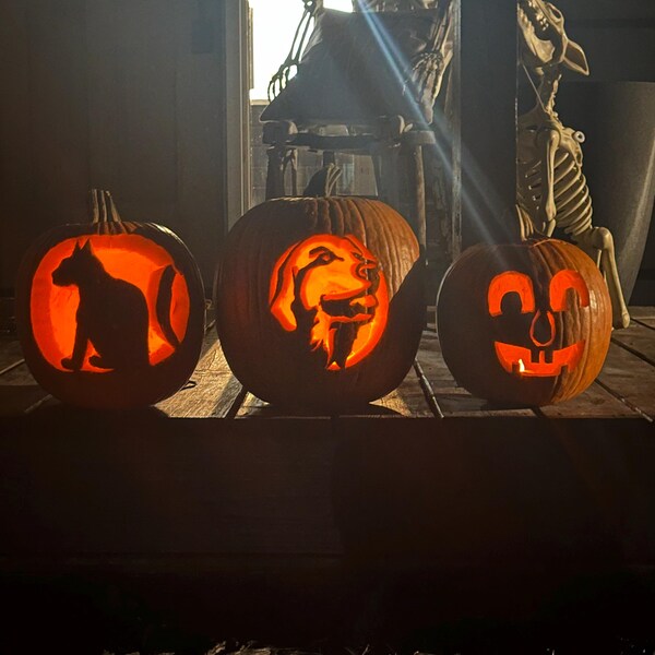 Labrador Retriever, Halloween Dogs, Pumpkin Carving, Stencil, Templates ...