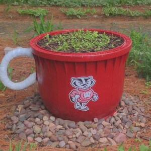 Wichita State University Wushock Circle Logo Sticker / Vinyl - Etsy