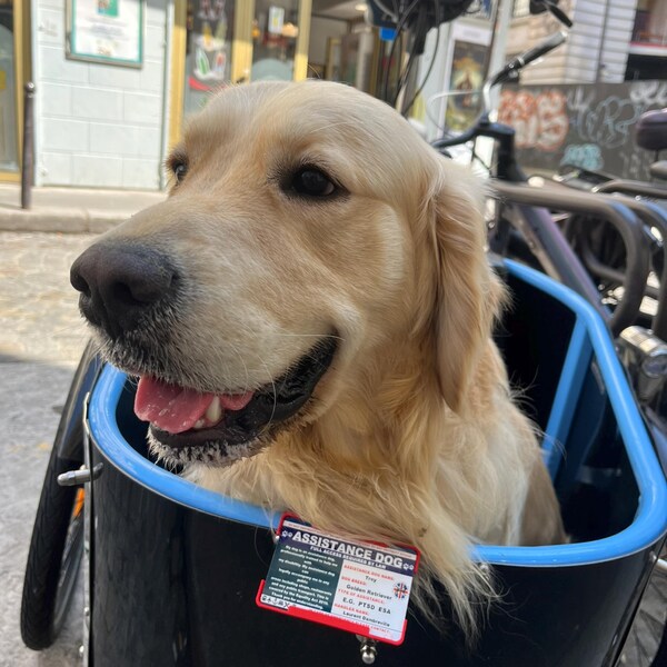 Spacex Cosplay ID Card Authentic Replica for Space Enthusiasts - Etsy