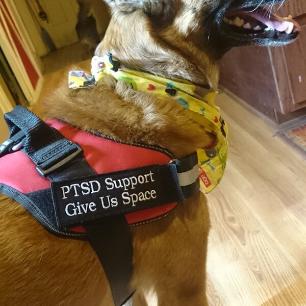 Custom / Personalized Harness Dog Patches - Set of 2 - - Etsy