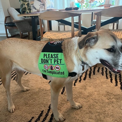 1 Patch, IGNORE ME, 8 Inches X 3 Inches, Sew On, Customizable, Custom ...