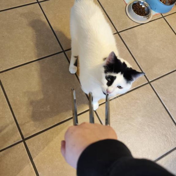 Apex Legends Pack Loot Box Phone Stand Gamer Desk Decor Handmade ...