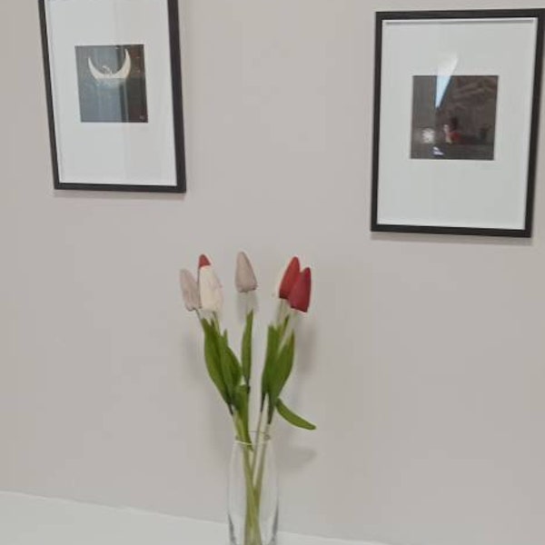 Kiwi and Kiwi. Illustrated by Friederike Ablang. Printed and Signed. 12 ...