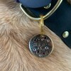 Pet ID Tag Swarovski Butterfly Dog Tag Rhinestone Gems Dog - Etsy