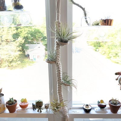 Air Plant Hanger Hanging Air Plant Holder Airplants Display - Etsy