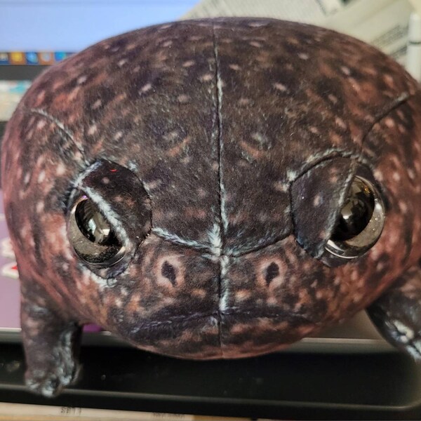 NEW Rain Frogs Grumpy Frog Mini Plushie Stuffed Animals - Etsy