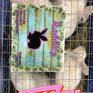 Stock Show Barn Sign, Barn Stall Sign, Fair Sign, Show Animal Sign ...