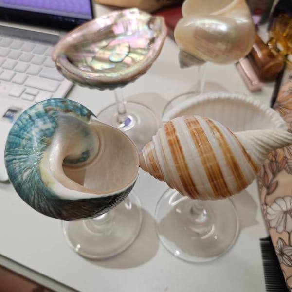 Custom Name Seashell Wine Glasses, Wedding Bridesmaids Gift,beach Shell ...