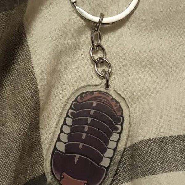 Isopod Artwork Acrylic Keychains Acrylic Cubaris Porcellio 20 Species ...