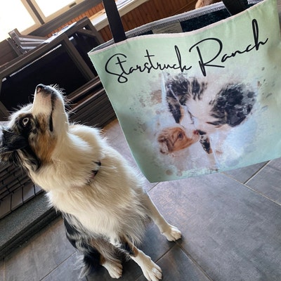 Distance, Distraction, Duration Dog Training Goals / Dog Behavior ...