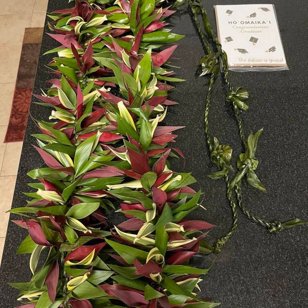 College Graduation Lei High School Graduation Gift Lei for Graduate ...