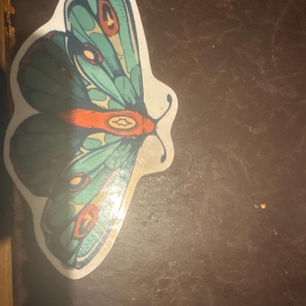 Ladybug Sticker | Waterproof and Glossy - Etsy