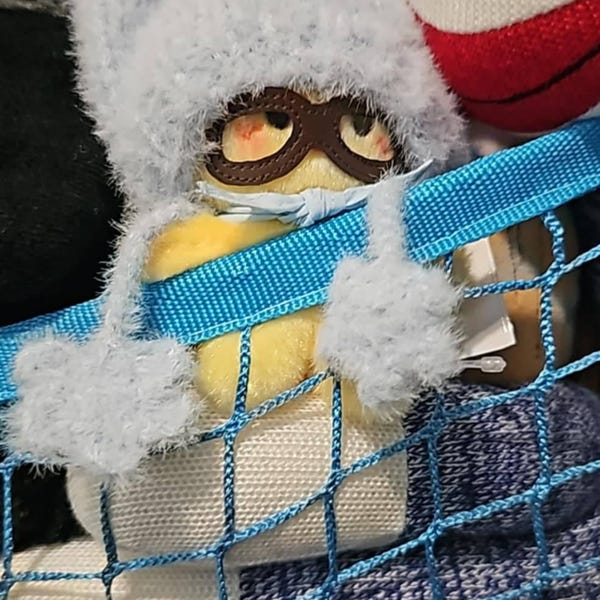 Lee Know Cat Look, Skzoo Clothes, Leebit, Skzoo Outfits, Kpop Doll ...