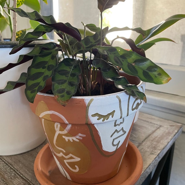 PaintAndPotsByCara - Etsy