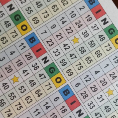 Editable Bingo Pattern Program Flyer Easily Create Your Own 6 - Etsy