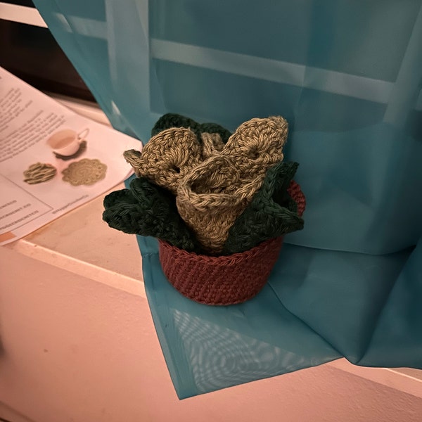 CROCHET PATTERN - Succulent Plant Pot Coaster Crochet Pattern Flower ...