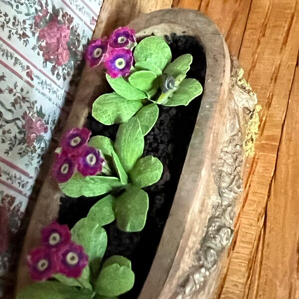 MICRO Mini Garden Snail, 1mm Shell, Handmade 1:12 Scale Miniature Brown ...