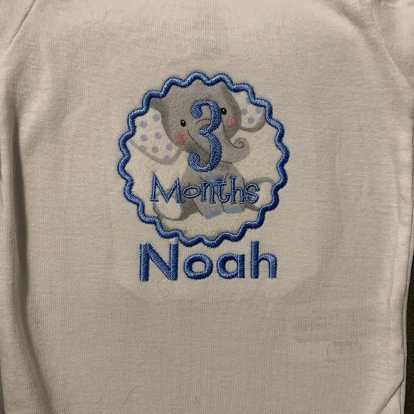 Monthly Onesie Applique Machine Embroidery Designs - Newborn Through 12 ...