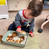 Five Little Acorns Poem - Interactive Poetry - Fall Poetry - DIGITAL ...