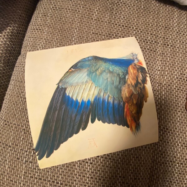Albrecht Dürer : Wing of a Blue Roller (1512) Canvas Gallery Wrapped or ...