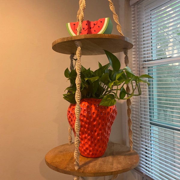 Huge Piranha Planter Gift With Watering Tray - Etsy