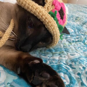Pink Flower Summer Hat Cat Hats Cat Costumes Cat Accessories - Etsy