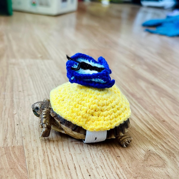 Handcrafted Custom-knit Clothing and Costume Styles for Turtles ...