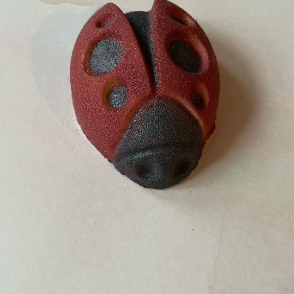 Ladybug Mold Plastic Mold for Bath Bombs Soap Mold Resin Mold Craft ...