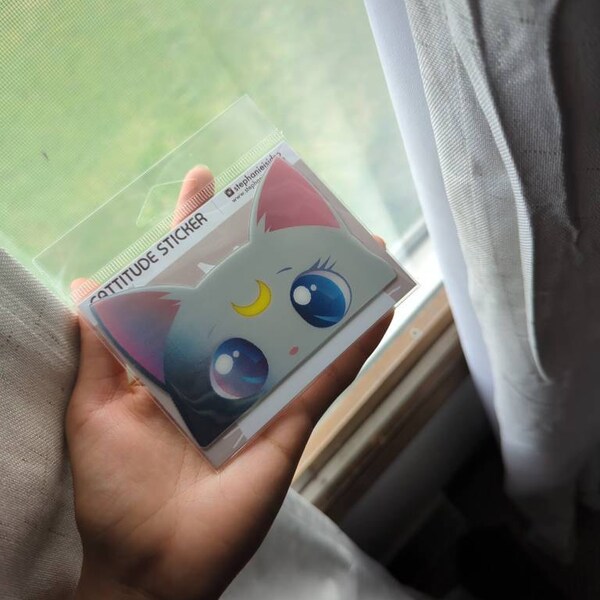 Grey Tabby Cat Peeker Vinyl Sticker 3D Motion/animated Cats Stickers ...