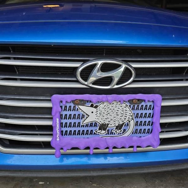 Opossum License Plate, Possum Car Decor, Funny Car Accessories for Men ...