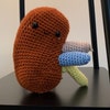 Anatomical Kidney Crochet Pattern! PATTERN ONLY Instant DOWNLOAD ...