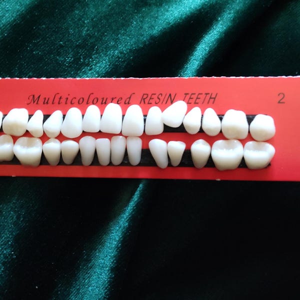 Full Set Resin Human Style Teeth, Teeth, Dentures, Craft Supplies ...