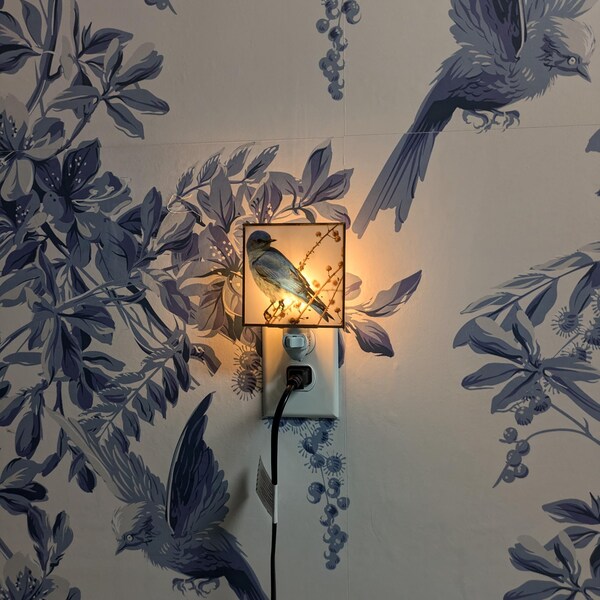 Aspen Grove Night Light From the Signature Photography Line of Steele ...