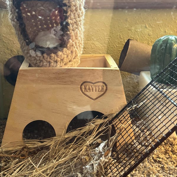 Bearded Dragon Candy Corn Costume Sweater, Halloween Lizard Sweater ...