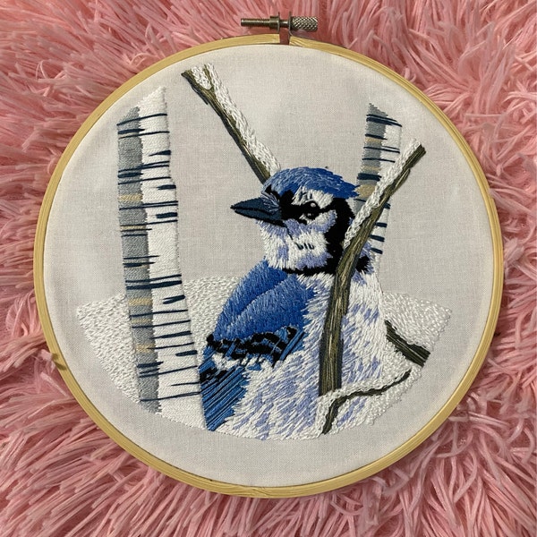 Blue Jay Embroidery Kit, Complete Kit, Detailed Instructions, DMC Floss ...