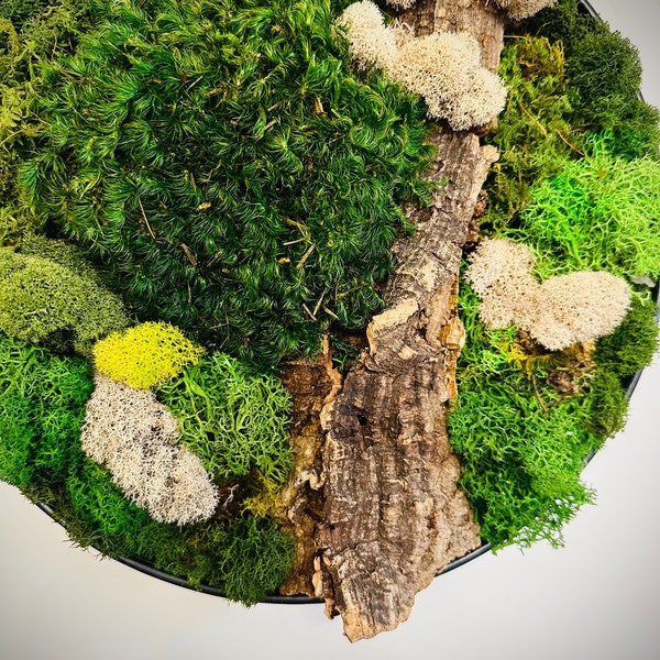 Round Moss Wall Art, Wall Hang Preserved Moss & Cork Bark, Vertical ...