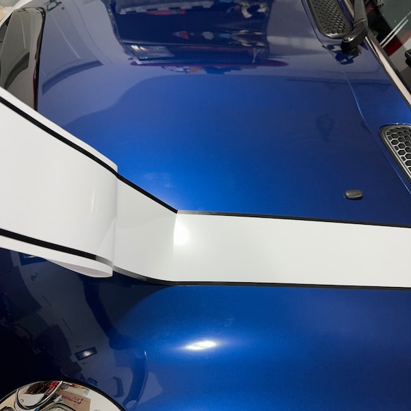 Push and Pull Vinyl Decal Sticker Safety Signs Ideal for Windows, Doors ...