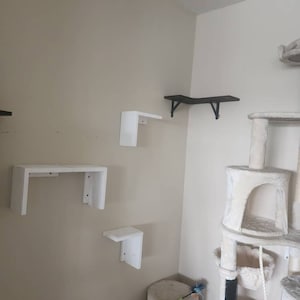 Cat Steps Set 3 Psc. Cat Walk Wall, Cat Steps, Cat Wall Furniture, Cat ...