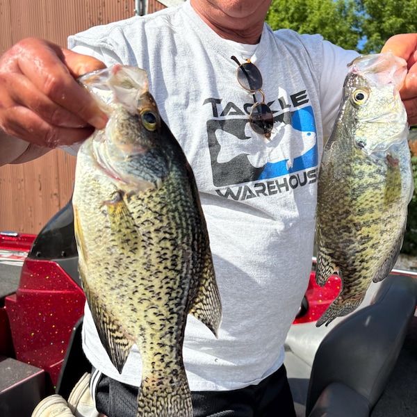 Crappie Jigs: Slab Buster - Etsy