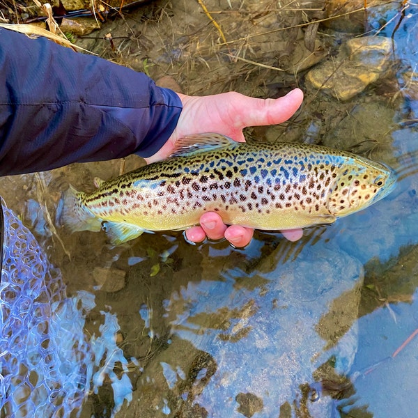 3x White Angel Streamer - Etsy