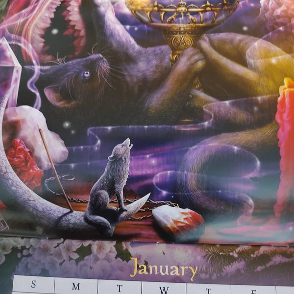 Angelarium Oracle Cards of Eminations: the Encyclopedia of Angels ...